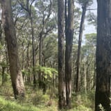 Kyeema, Channel 10 and Camella Circuit, Victoria, Australia - 232 ...