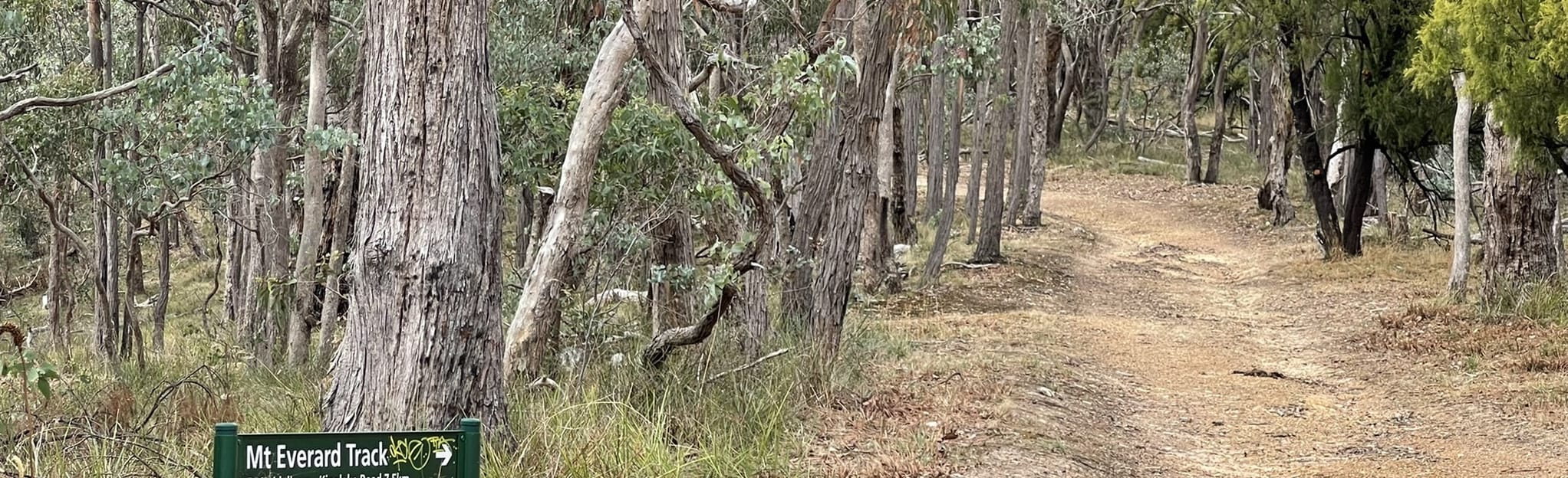Mount Everard Track, Victoria, Australia - 21 Reviews, Map | AllTrails