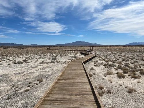 Best Walking Trails in Amargosa Valley | AllTrails