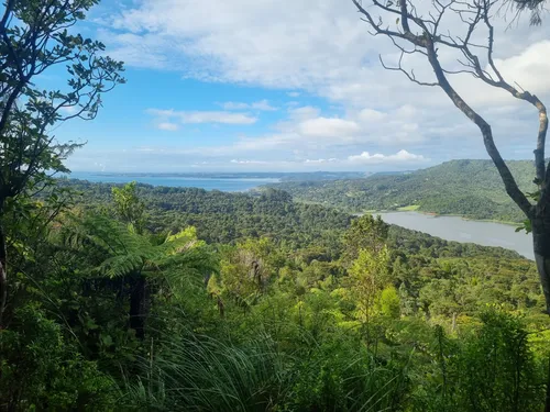 10 Best Hikes and Trails in Waitakere Ranges Regional Park | AllTrails