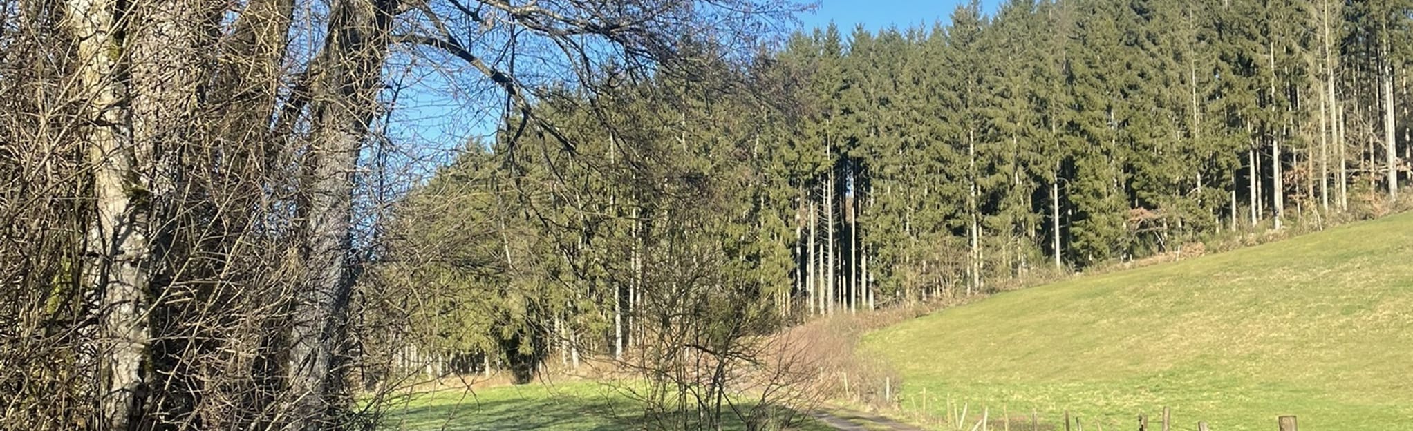 Oberfeulen - Heiderscheid : 3 photos - Diekirch, Luxembourg | AllTrails