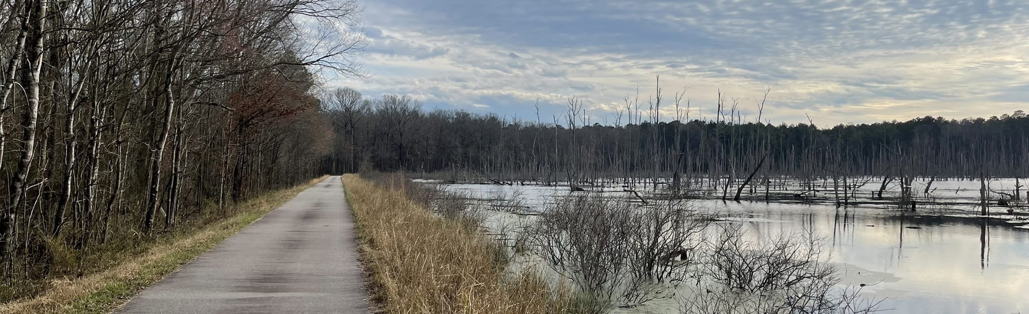 Pee Dee Wildlife Drive Loop, North Carolina - 24 Reviews, Map | AllTrails