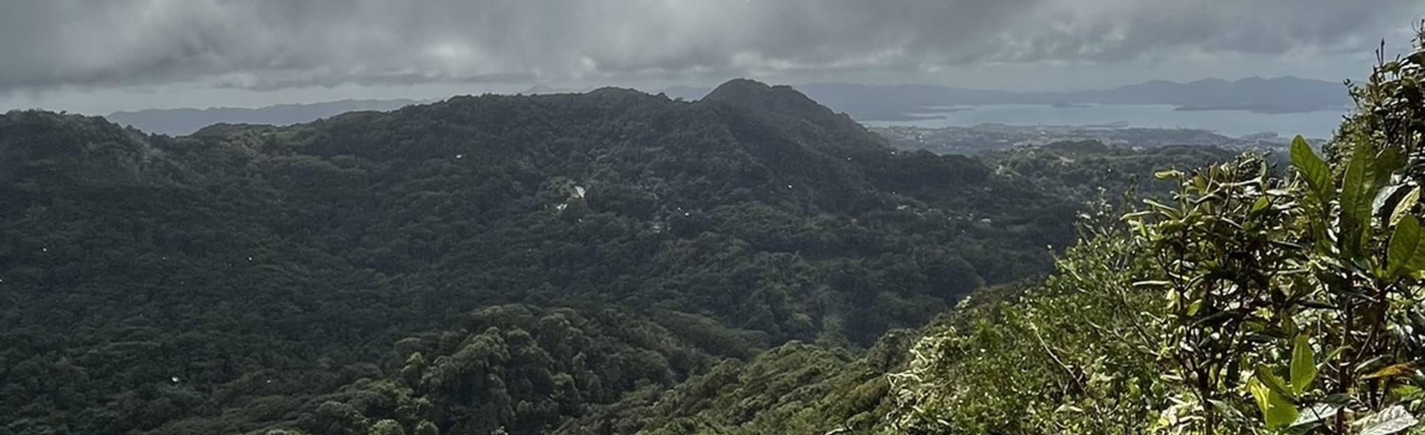 Circuit d'Absalon via Trace Duclos Nord: 49 foto's - Fort-de-France ...