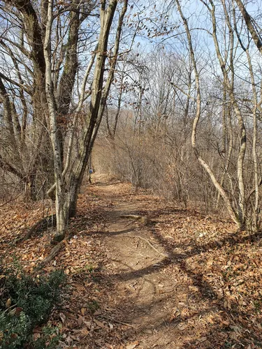 Best Hikes and Trails in Fanna | AllTrails