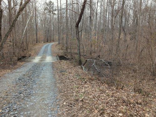 Best Hikes and Trails in Cumberland State Forest | AllTrails