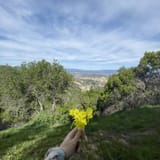 Newhall Pass: Weldon Canyon Trail, California - 236 Reviews, Map ...