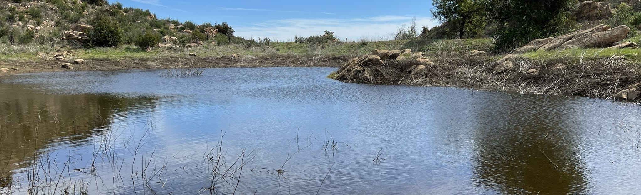 Chesebro Canyon Baleen Wall Trail | Map, Guide - California | AllTrails