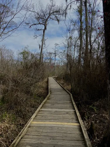 Best Hikes and Trails in Fairview-Riverside State Park | AllTrails