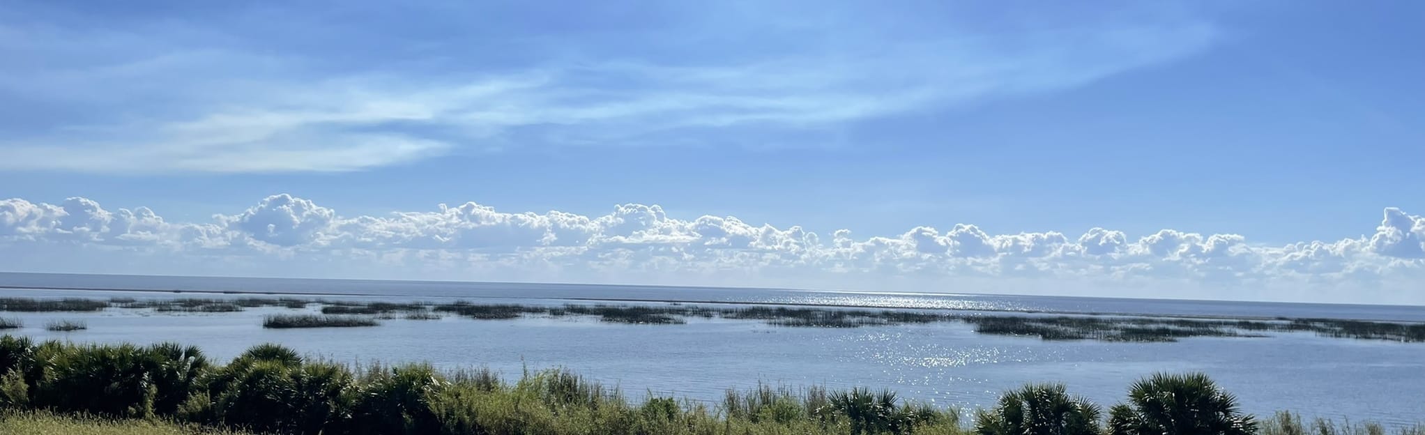 Lake Okeechobee Scenic Trail: Port Mayaca North - Chauncey Bay, Florida ...