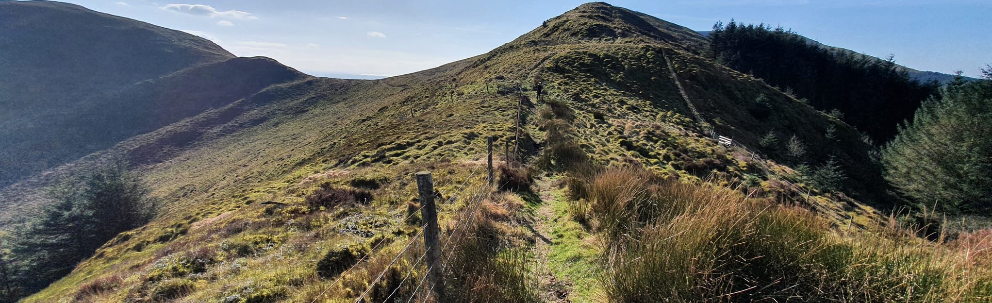 Tarren Y Gesail and Tarrenhendre Circular, 37 Photos - Powys, Wales ...