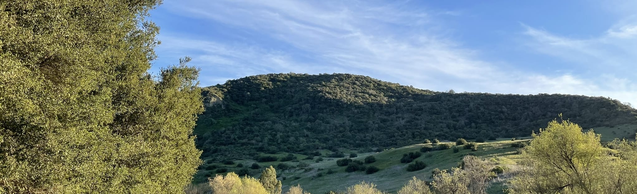 Aliso Creek Trail, California - 407 Reviews, Map | AllTrails