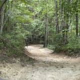 Brown Mountain OHV Trail, North Carolina - 119 Reviews, Map | AllTrails