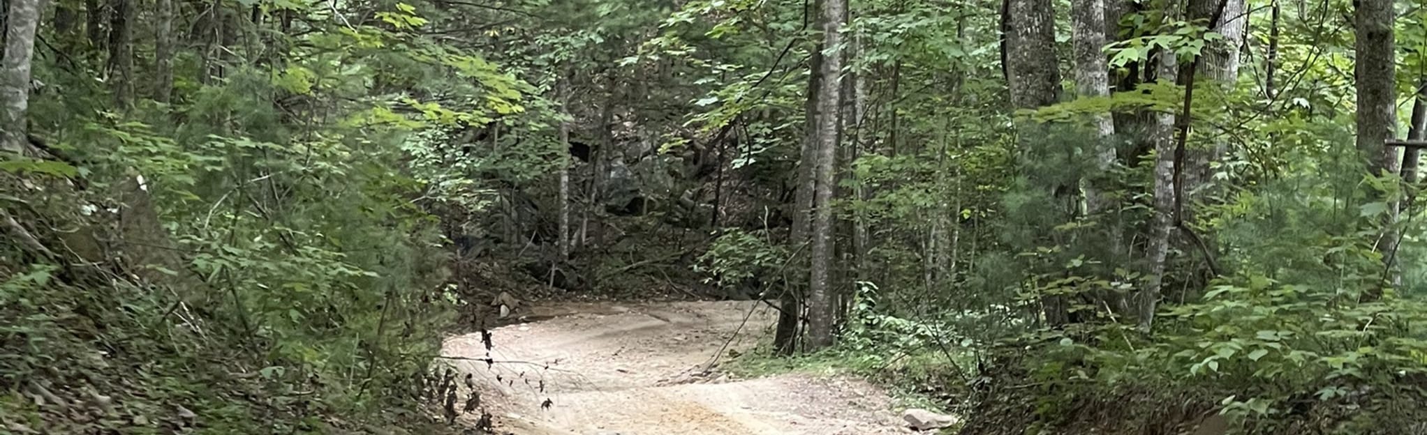 Brown Mountain OHV Trail [CLOSED], North Carolina - 114 Reviews, Map ...