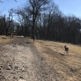 Mount Hope Pond, New Jersey - 42 Reviews, Map | AllTrails