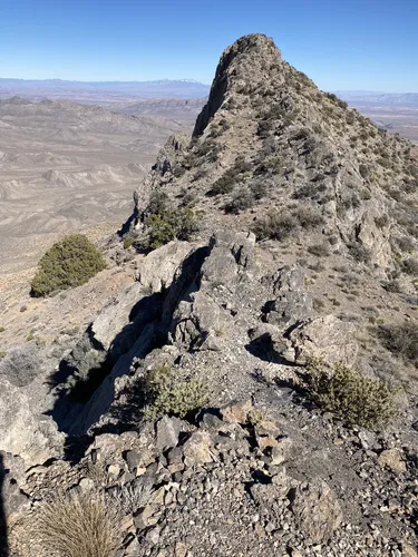 2023 Best Wild Flowers Trails in Bunkerville | AllTrails