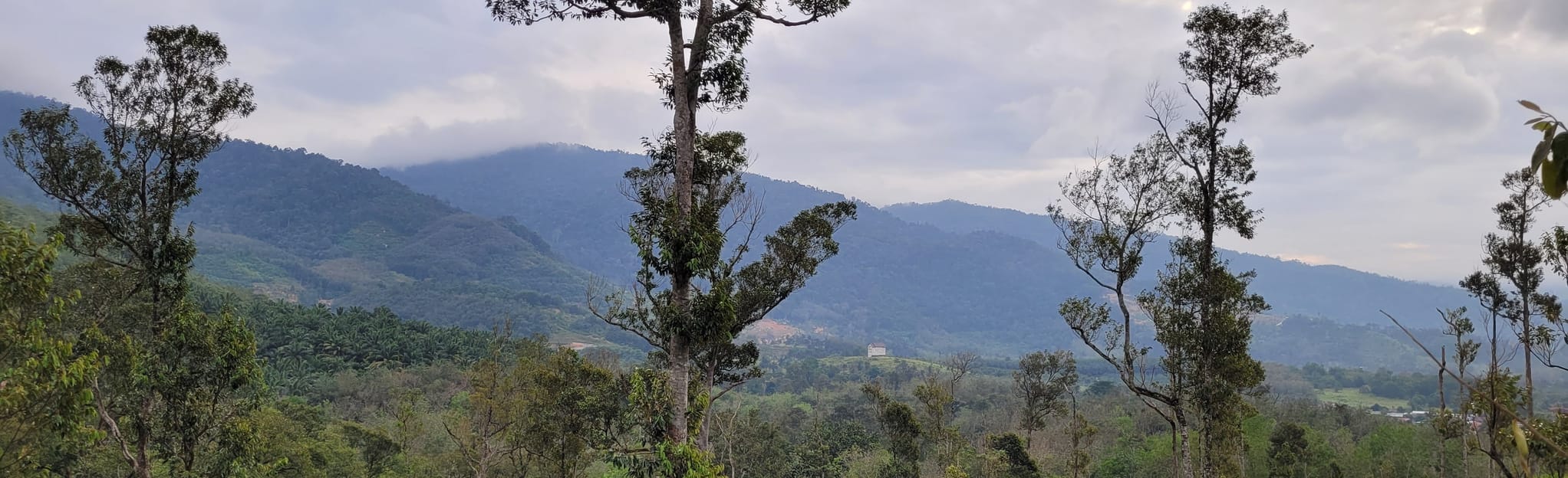 Broga Hill Peak 2 via MPKJ Trail, Selangor, Malaysia - 106 Reviews, Map ...