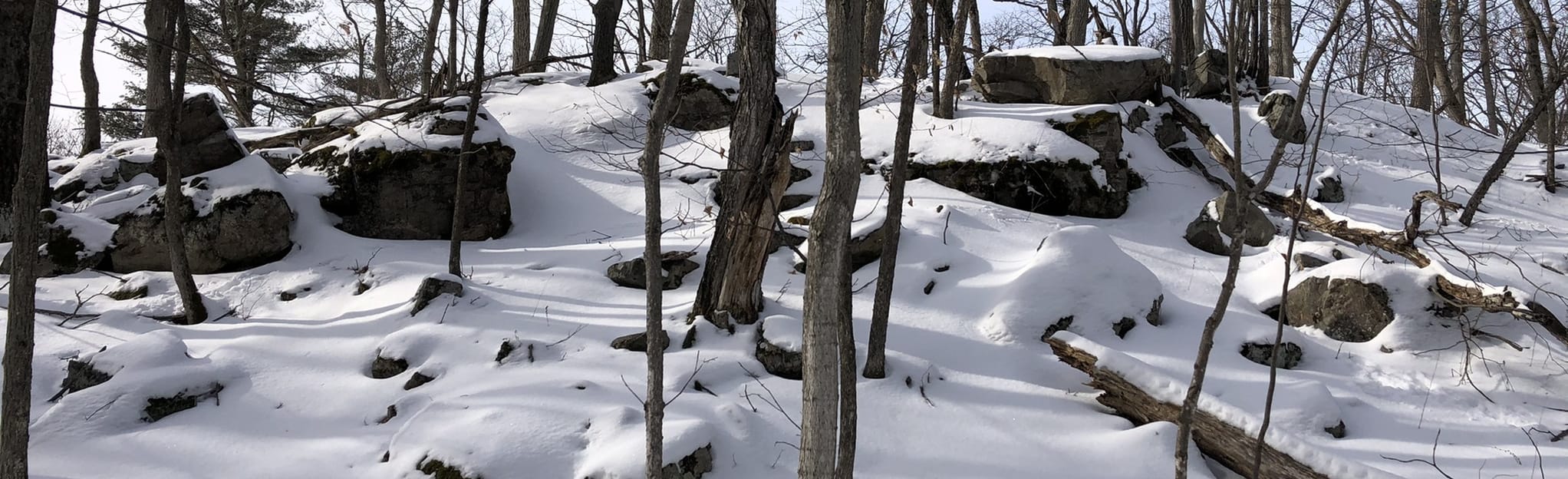 Rock Ridges Nature Trail - New York | AllTrails