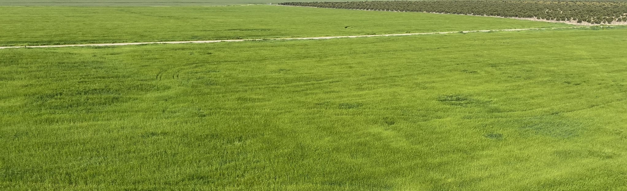 Kissufim Forest, Nahal Asaf and Nahal HaBasor Circuit | Map, Guide ...