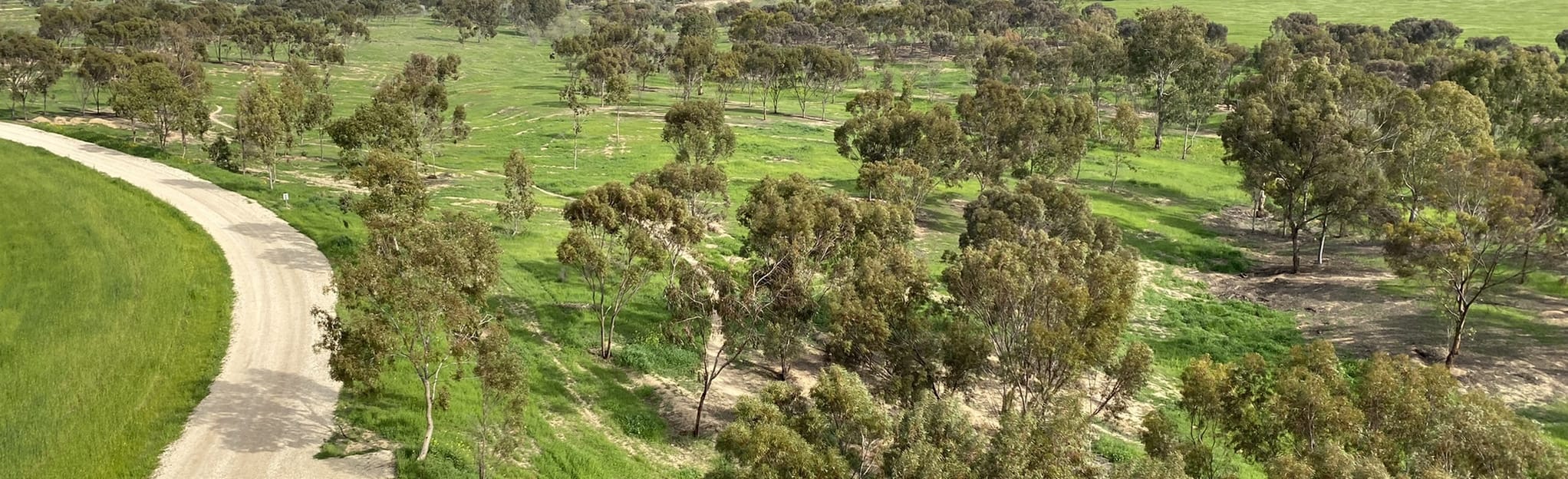 Kissufim Forest, Nahal Asaf and Nahal Asaf Forest, Southern District ...