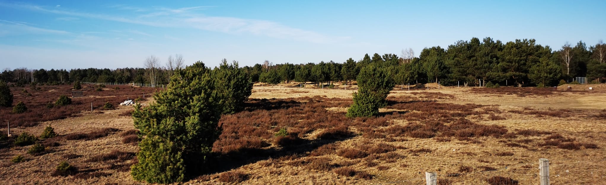 Bernau - Schoenower Heide - Schoenwalde: 1 Reviews, Map - Brandenburg ...