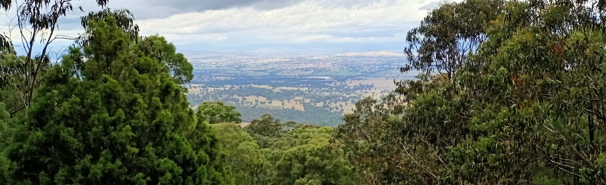 Rocky Point Lookout: 3 foto's - Victoria, Australië | AllTrails