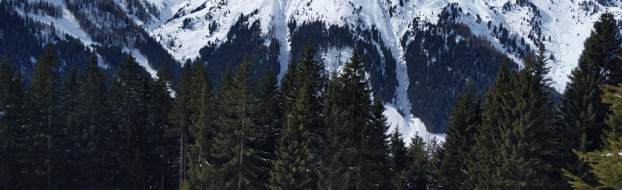 Mösl - Schwendberg - Nasenalm: 4 foto - Tirolo, Austria | AllTrails
