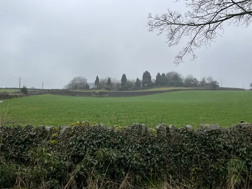 10 Best Trails, Walks, and Paths in Belper | AllTrails