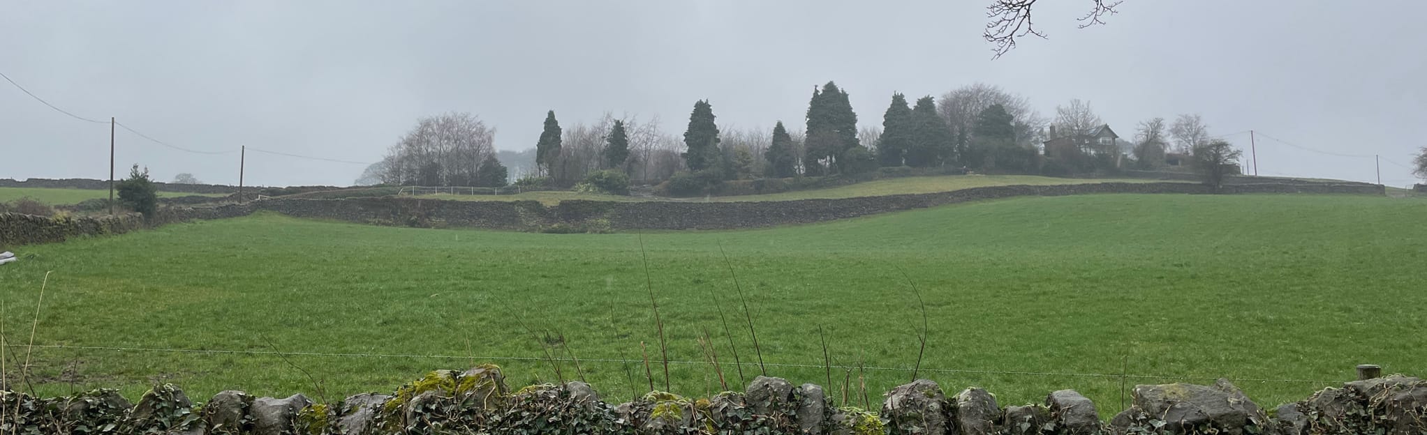 The Birches and Shining Cliff Woods Circular, Derbyshire, England - 83 ...