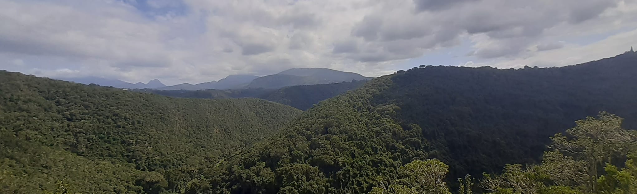 Wilderness Hoekwil Breakfast Trail: 4 Reviews, Map - Western Cape ...