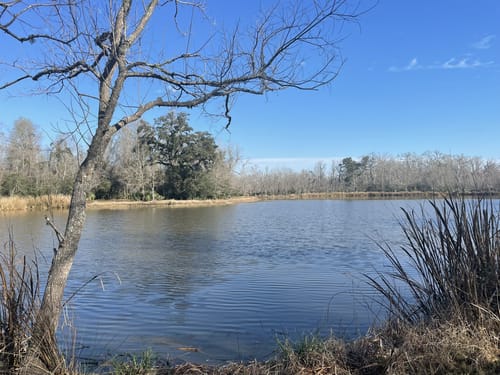 2023 Best 10 Trails in Joyce Wildlife Management Area | AllTrails