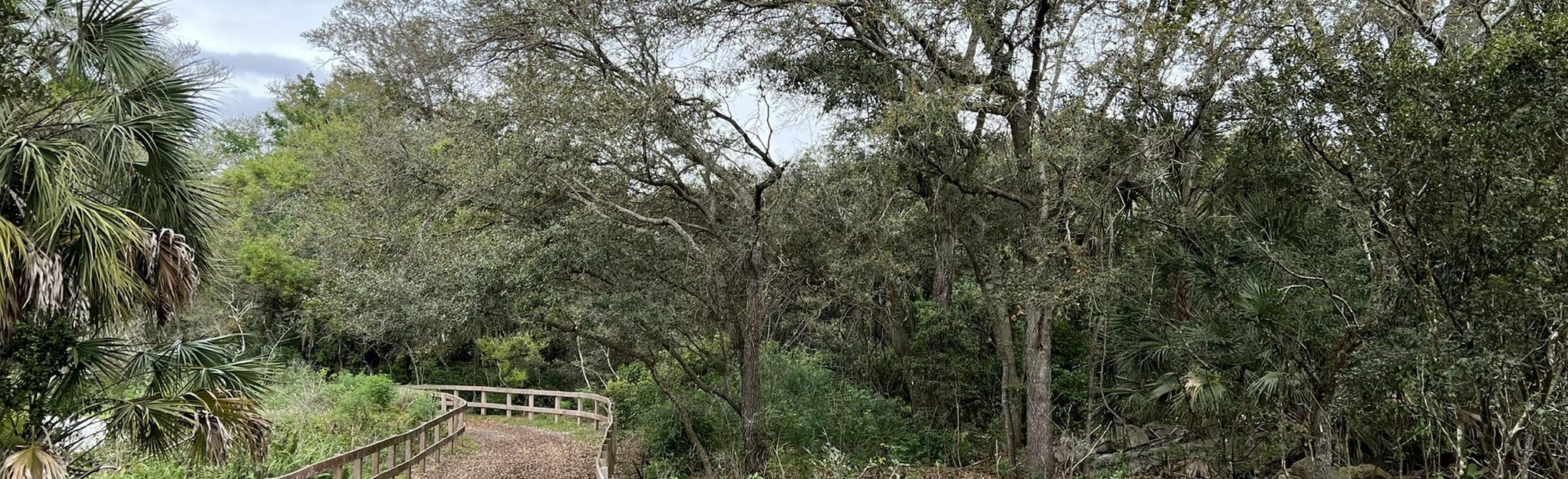 Long Key Natural Area Trail: 85 Reviews, Map - Florida | AllTrails