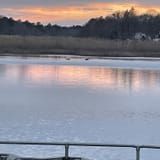 Peconic River, New York - 39 Reviews, Map | AllTrails