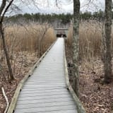 Peconic River, New York - 37 Reviews, Map | AllTrails