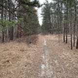 Peconic River, New York - 36 Reviews, Map | AllTrails