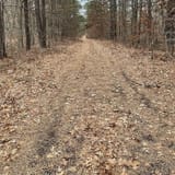 Peconic River, New York - 39 Reviews, Map | AllTrails