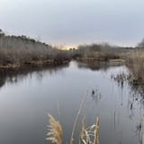 Peconic River, New York - 37 Reviews, Map | AllTrails