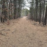 Peconic River, New York - 37 Reviews, Map | AllTrails