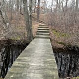 Peconic River, New York - 39 Reviews, Map | AllTrails