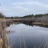 Peconic River, New York - 37 Reviews, Map | AllTrails