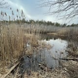Peconic River, New York - 37 Reviews, Map | AllTrails