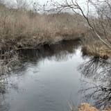 Peconic River, New York - 37 Reviews, Map | AllTrails
