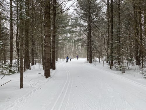 Best Hikes and Trails in Georgian Nordic Activity Centre | AllTrails