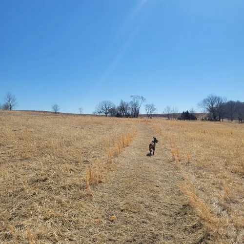 2023 Best Wild Flowers Trails in Ash Grove | AllTrails