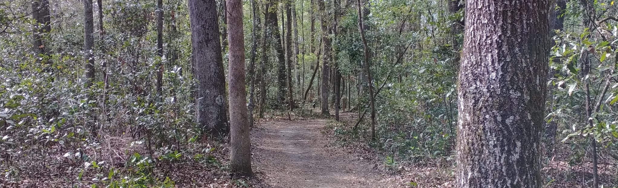 Fanning Springs State Park Loop, Florida - 52 Reviews, Map | AllTrails