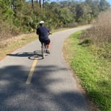 Big Talbot Island Timucuan Trail, Florida - 171 Reviews, Map | AllTrails