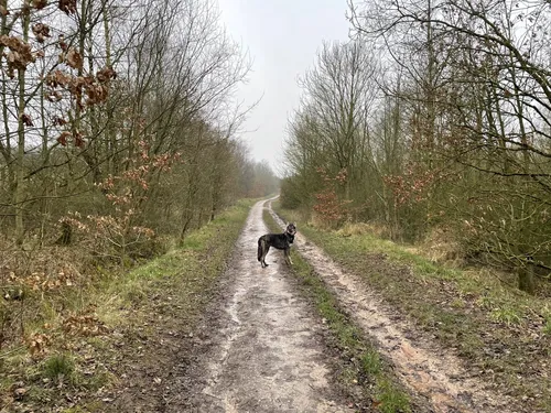 Best Hikes and Trails in Bateswood Nature Reserve | AllTrails