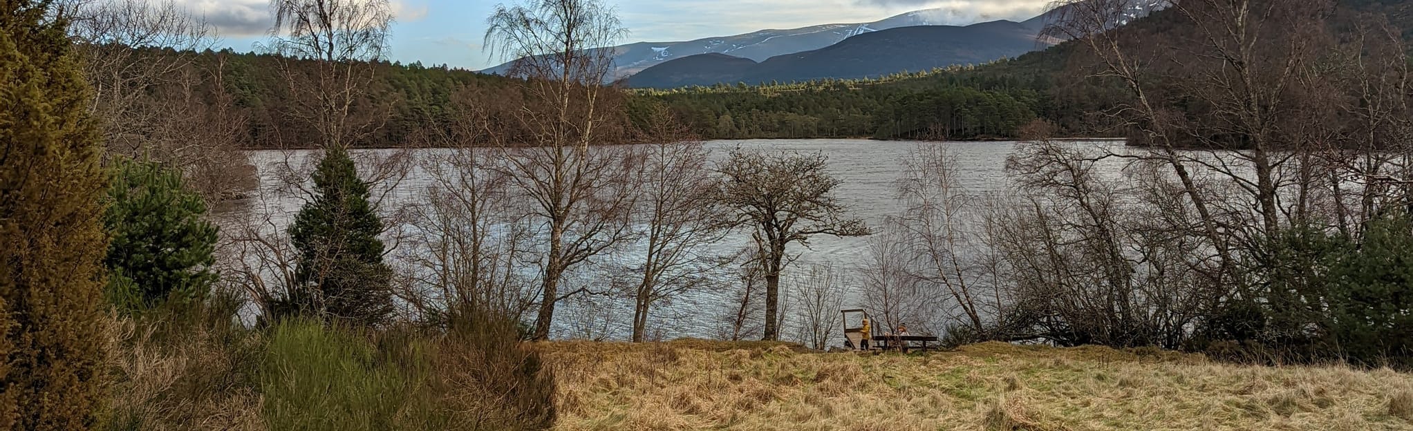 Loch an Eilein and Loch Morlich Circular, Highlands, Scotland - 15 ...