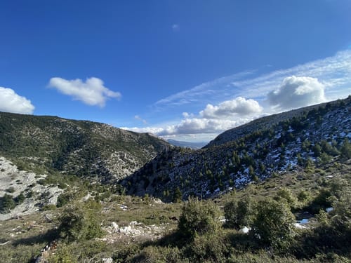 10 bedste vandreture og ruter i Mount Parnitha National Park | AllTrails