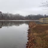 Bee Tree Lake Loop, Missouri - 537 Reviews, Map | AllTrails