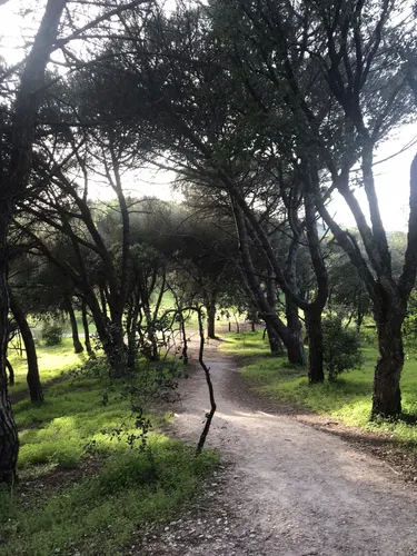 10 Best Hikes and Trails in Monsanto Forest Park | AllTrails